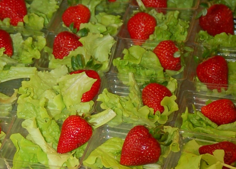ACPS Express | Schools Celebrate Spring with Strawberries and Greens ...