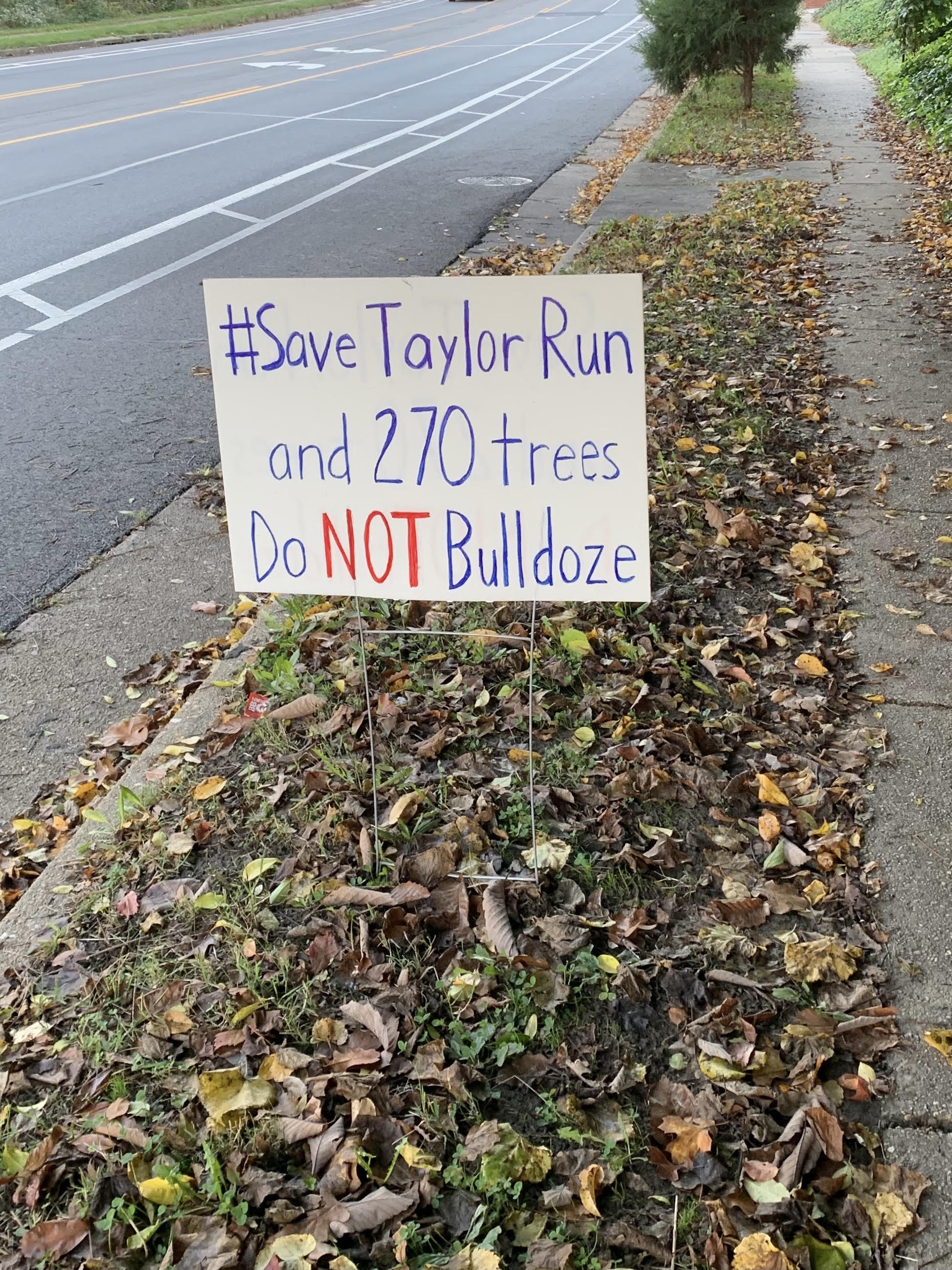Proposed Taylor Run Restoration Ignites Angered Opposition – Theogony