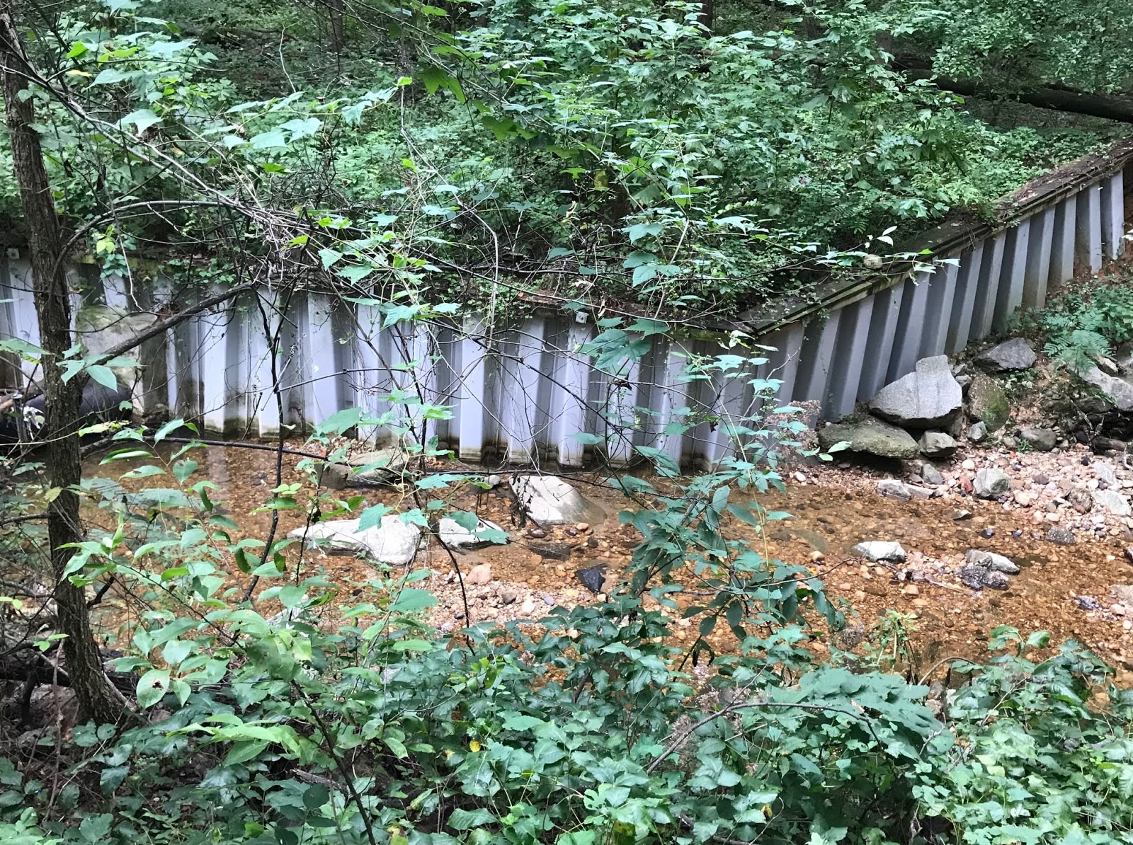 A Deep Dive Into the Taylor Run Stream Restoration Project – Theogony